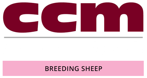 CCM Auctions > Breeding Sheep > Downloads and Forms